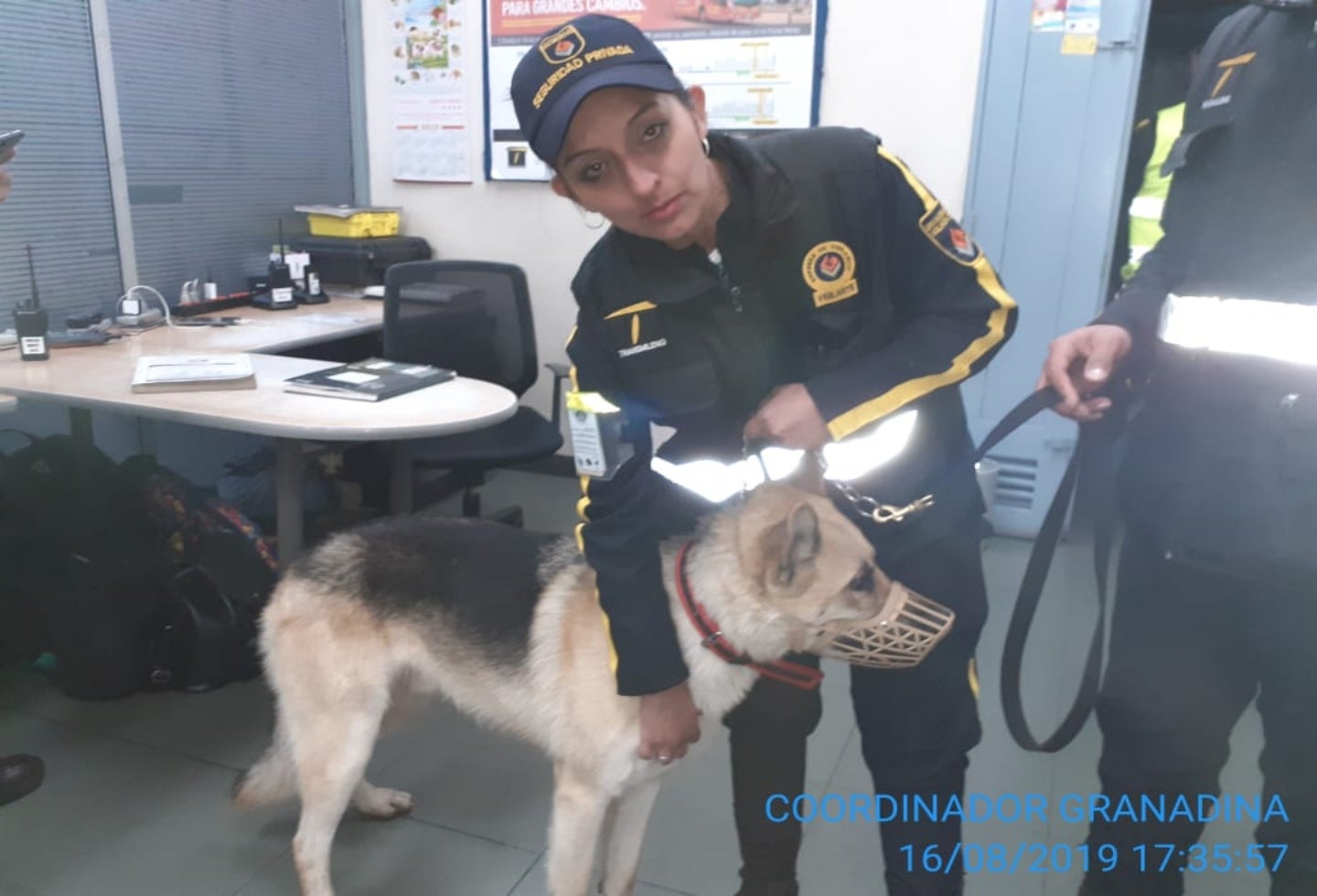 Maltrato a perros de seguridad de Transmilenio