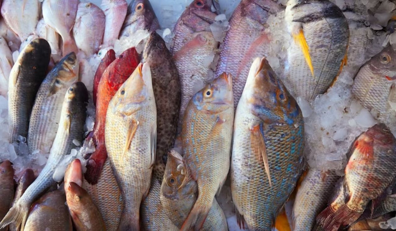 Cachama, el pescado más barato para consumir en Semana Santa