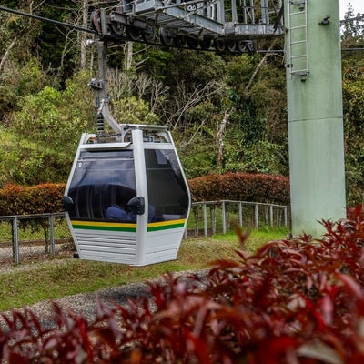 Noticias Medellín: Precio de Metrocable Arví bajará a estratos, 1, 2 y 3
