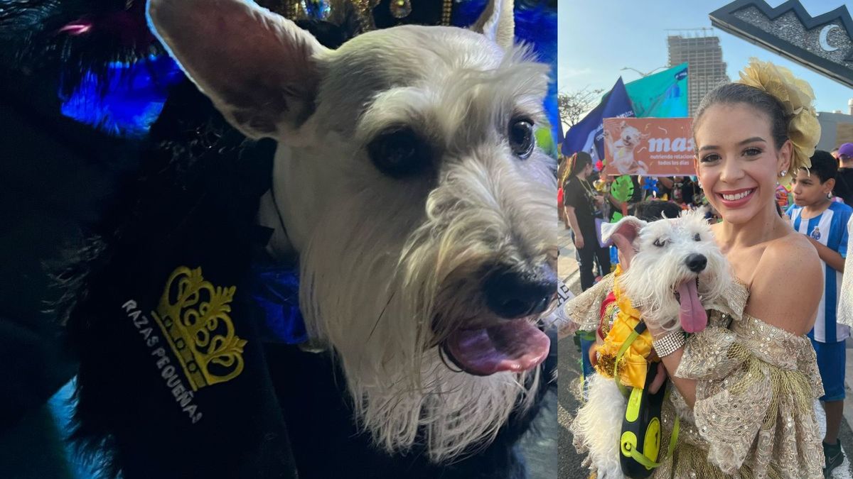Carnaval Pet Lovers 2026 llega al Gran Malecón como plan familiar para ...